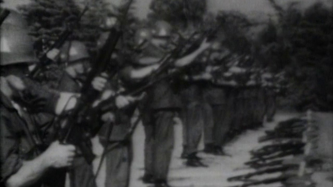 Basic Training (1971) Movie | Flixi