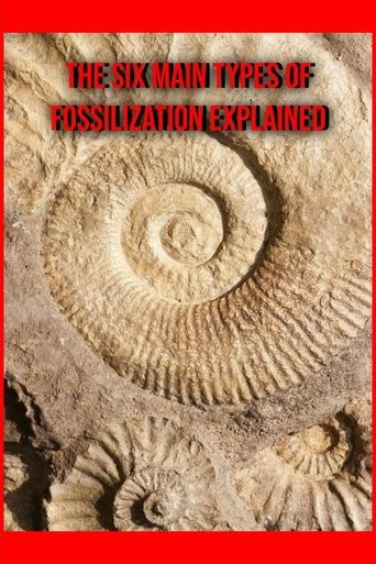 The Six Main Types of Fossilization Explained (2024) Movie | Flixi